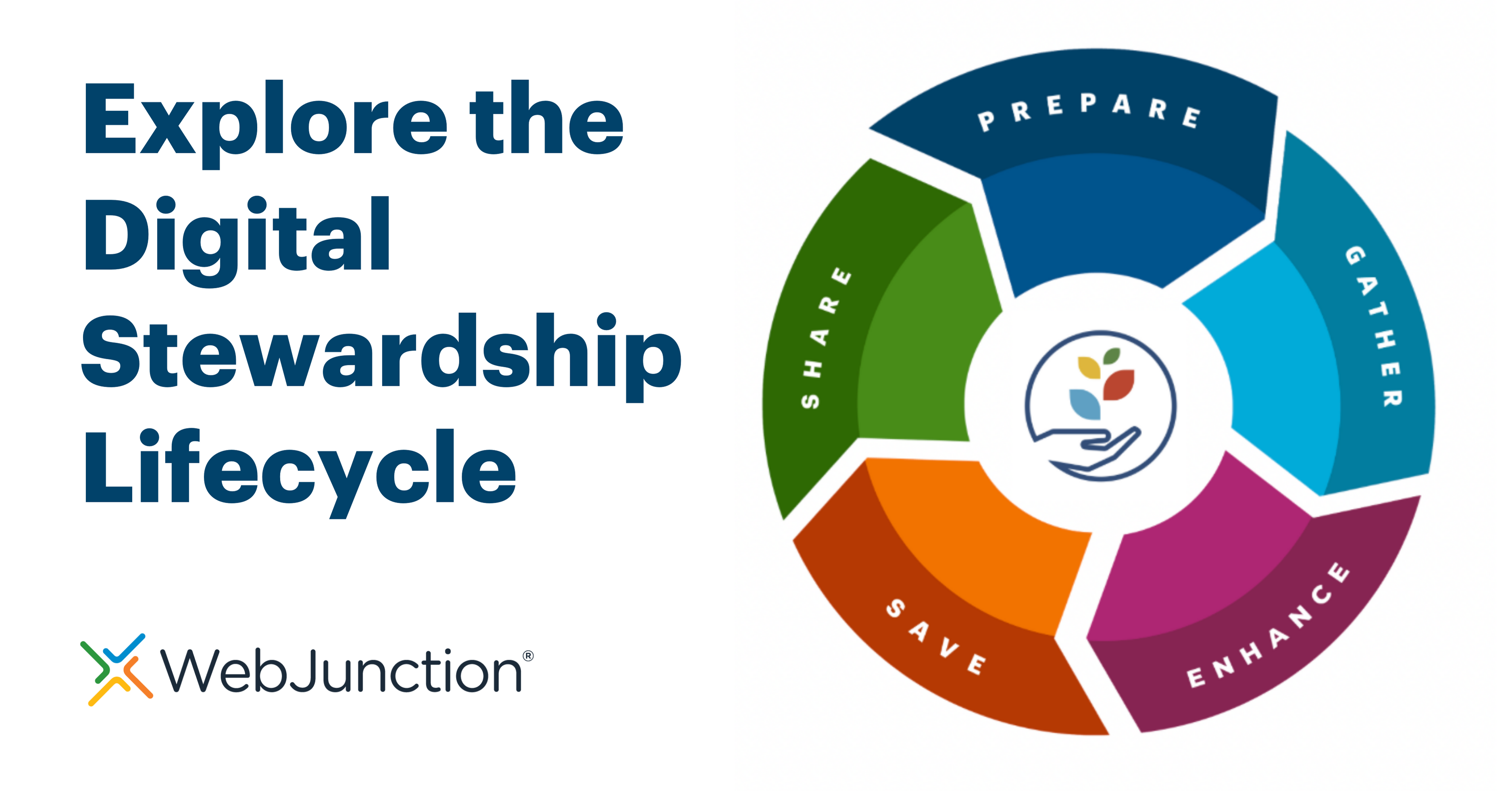 Explore the Digital Stewardship Lifecycle | WebJunction