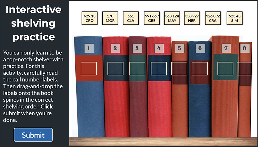 Shelving with Dewey: Self-paced course updated